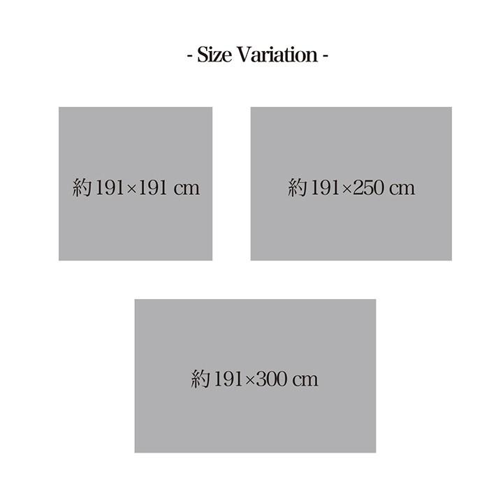 イケヒコ 掘りごたつ用カーペット い草ラグ DXピア 191×300cm くりぬき：90×150cm い草カーペット 夏用 新生活 : アイズインテリア Yahoo!店 - 通販 ...