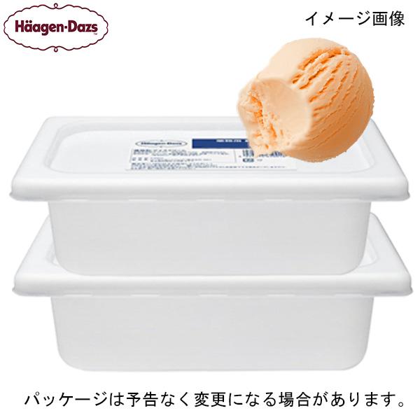ハーゲンダッツ（Haagen-Dazs） 業務用 キャラメル 2000ml×2入 : アイスクリームのきしもと - 通販 - Yahoo!ショッピング