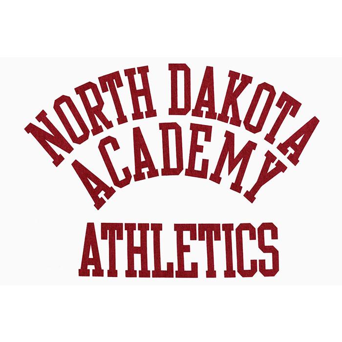 Champion チャンピオン Tシャツ 半袖 メンズ C3-X332(C3-X332 S/S Tee REVERSE WEAVE リバースウィーブ 日本企画 Cロゴ カットソー トップス ...