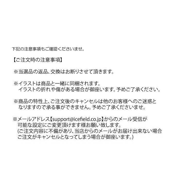 HTML03 HTML ZERO3×STARDOM 玖麗さやか コラボ ロンT Tシャツ 長袖 メンズ ( スターダム TKMKSPR L/S Tee カットソー HTML-T620 ...