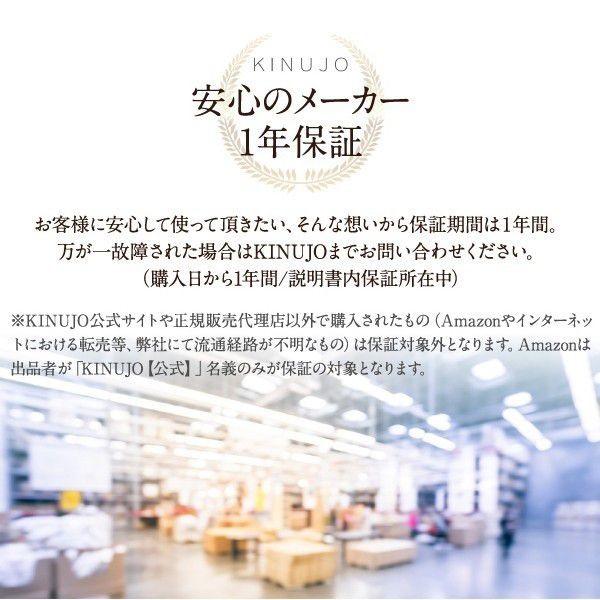 コードレスヘアアイロン LIPIRON リップアイロン 200℃ KINUJO DS058 正規代理店商品 海外兼用 充電式 ヘアーアイロン ...