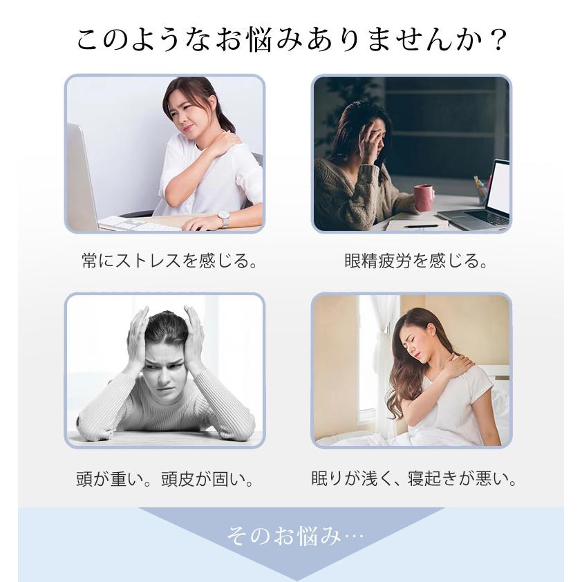 ヘッドスパ 防水 スカルプケア 頭皮ケア 電動頭皮ブラシ ヘッドマッサージ器 ヘッドマッサージャー EMS付き 頭皮マッサージ器 頭皮ブラシ サロン級 EA-K-112 :ea-k-112:壱 ...