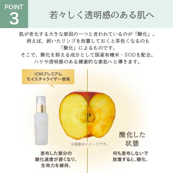 ICHI プレミアムモイスチャライザー 60mL 1個 化粧水 美容液 乳液 セラミド 肌荒れ 乾燥肌 敏感肌 に 人気 オールインワン : ICHI化粧品 - 通販 - Yahoo!ショッピング