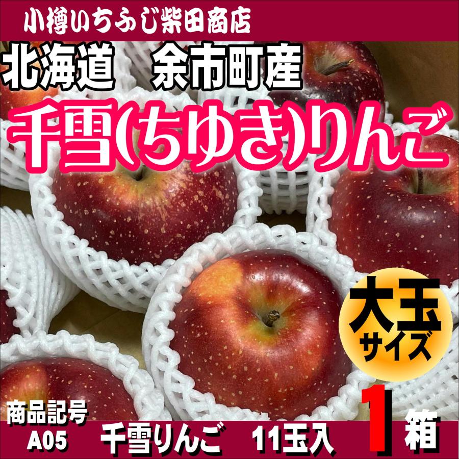 A05 10〜12玉 りんご(千雪) 余市町産 3kgギフトBOX : 小樽 いちふじ柴田商店 - 通販 - Yahoo!ショッピング