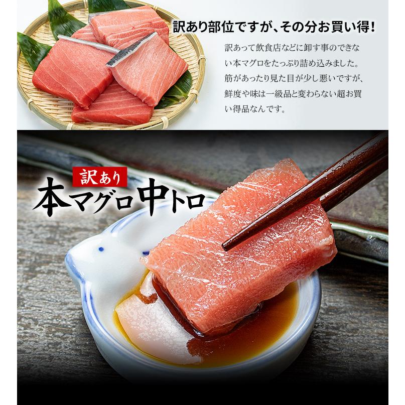 訳あり わけあり まぐろ 本マグロ 中トロ 700g 送料無料 解凍レシピ付《pbt-bf10》〈bf1〉[[訳あり中トロ700g] : まぐろ処一条 - 通販 - Yahoo!ショッピング