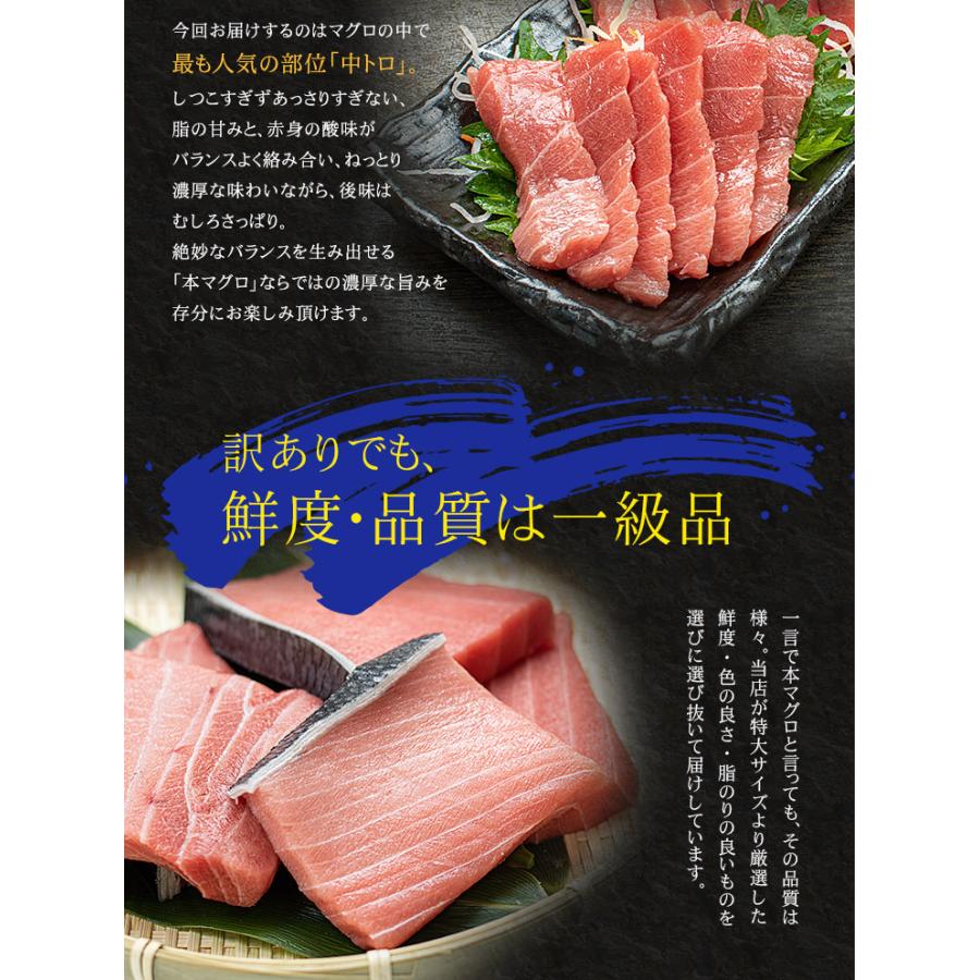 訳あり わけあり まぐろ 本マグロ 中トロ 700g 送料無料 解凍レシピ付《pbt-bf10》〈bf1〉[[訳あり中トロ700g] : まぐろ処一条 - 通販 - Yahoo!ショッピング