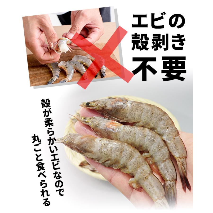 ソフトシェルシュリンプ 15尾入 455g 特大 ブラックタイガー 唐揚げ 天ぷら エビチリ 送料無料 [[ソフトシェルシュリンプ] : まぐろ処一条 - 通販 - Yahoo!ショッピング