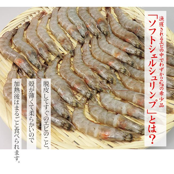 ソフトシェルシュリンプ 15尾入 455g 特大 ブラックタイガー 唐揚げ 天ぷら エビチリ 送料無料 [[ソフトシェルシュリンプ] : まぐろ処一条 - 通販 - Yahoo!ショッピング