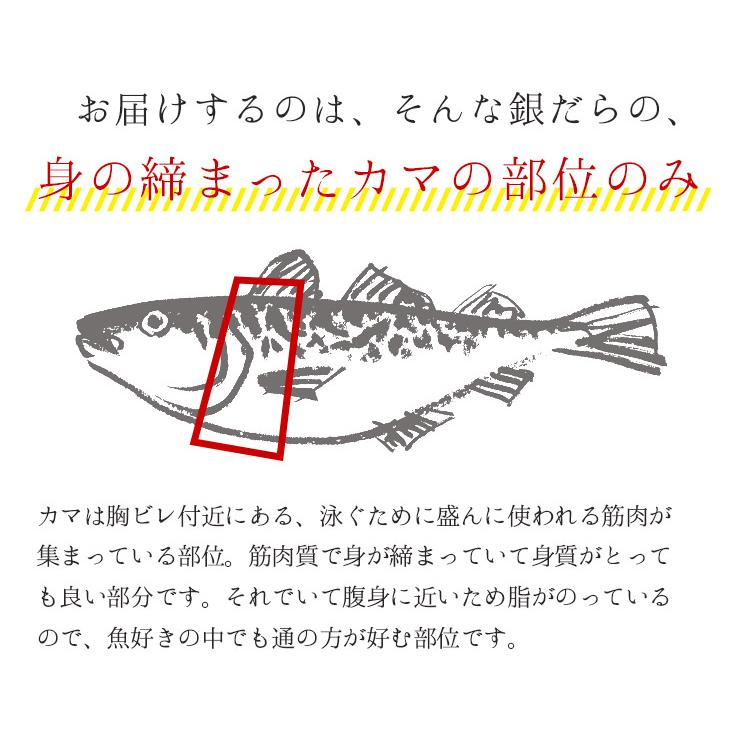 銀だらカマ 800g(3〜5個入) 銀鱈 ギンダラ 塩焼き 煮付け 西京焼き 加熱用 爆買 [[銀だらカマ800g] : まぐろ処一条 - 通販 - Yahoo!ショッピング