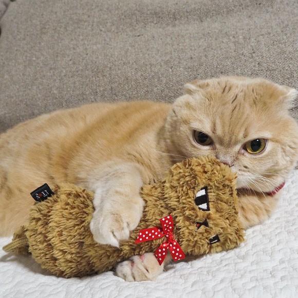 iDog 猫用品 iCat iToy ケリケリ まりたん キャットニップとカシャカシャ入り アイキャット : iDog - 通販 - Yahoo!ショッピング
