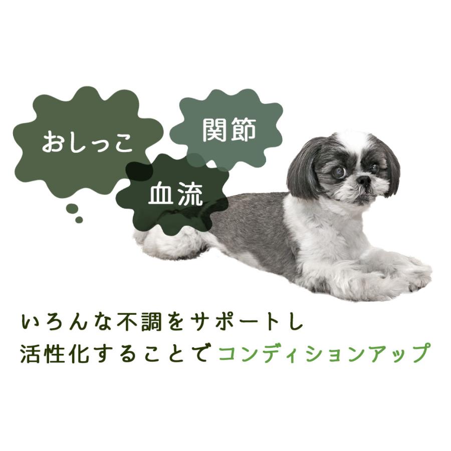 犬 服 iDog UNAGE SPA アンエイジスパ 背中開きタンク アイドッグ : 17174- : iDog - 通販 - Yahoo!ショッピング