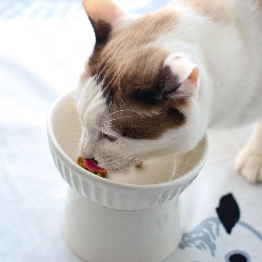 iDog 犬用食器 IDOG&ICAT pelpas ナナメスタンドフードボウル アイドッグ : iDog - 通販 - Yahoo!ショッピング