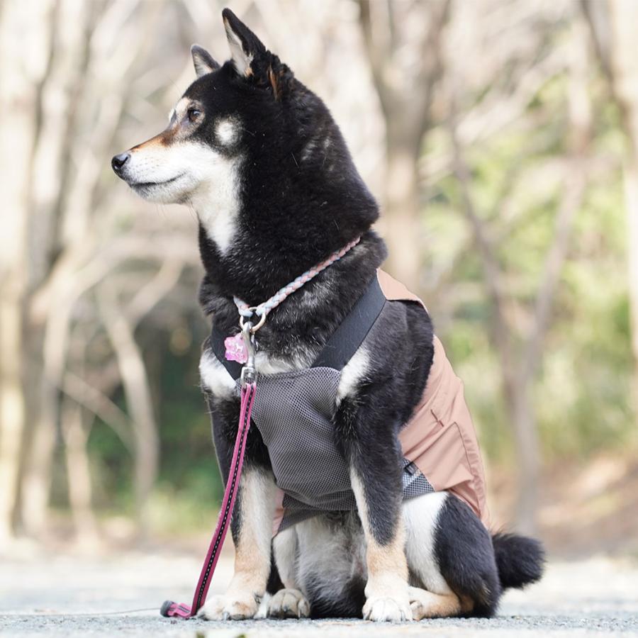 犬 服 iDog IDOG ICE HOLD フィッシングベスト 保冷剤付 アイドッグ :17242-:iDog - 通販 - Yahoo ...