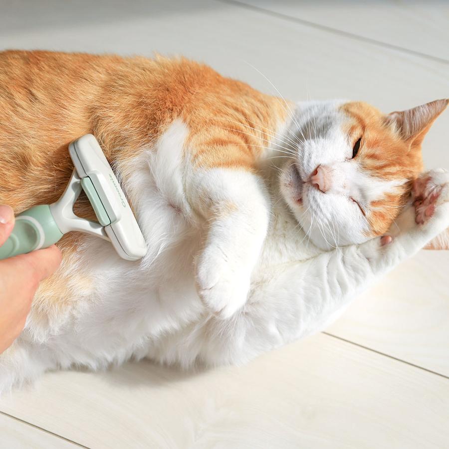 犬 猫 ブラシ IDOG&ICAT Groomie アンダーコートリムーブ Mサイズ グルーミー アイドッグ アイドッグ : 17407 : iDog - 通販 - Yahoo!ショッピング