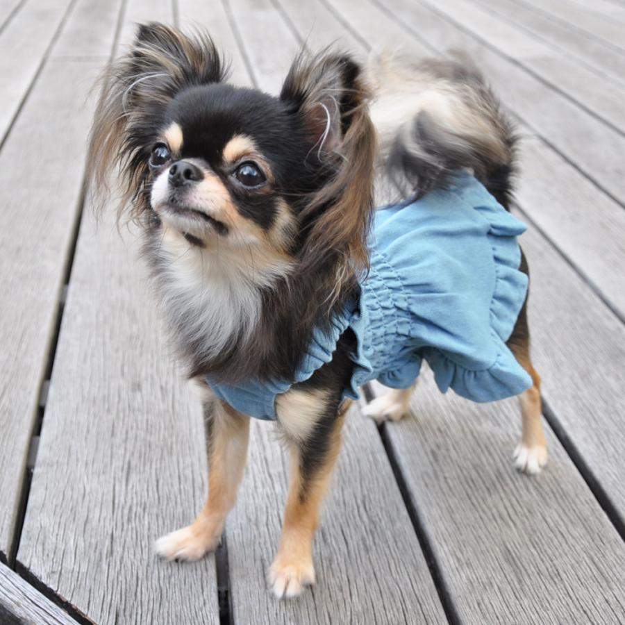 犬 服 iDog ギャザーフリルワンピ iDog fleur アイドッグ :17560-:iDog - 通販 - Yahoo!ショッピング