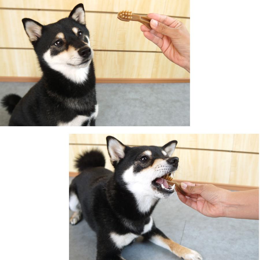 iDog 犬 おやつ ウィムズィーズ ハブラシS 小型犬(体重7-12kg) 7本 メール便OK : iDog - 通販 - Yahoo!ショッピング