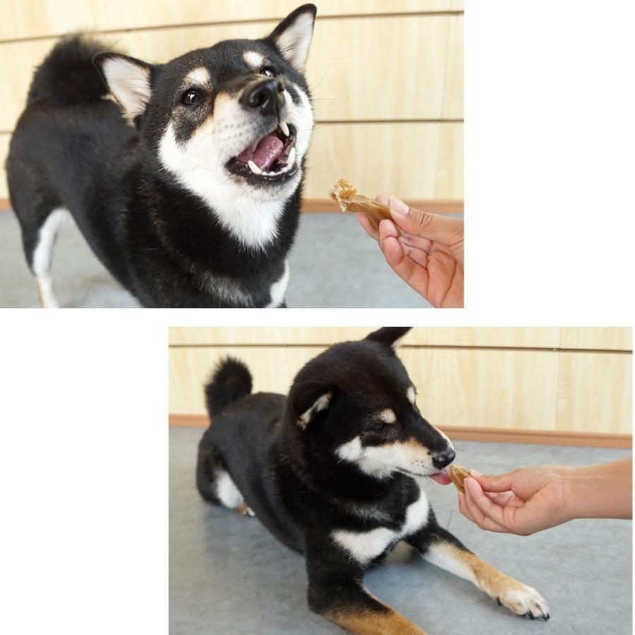 iDog 犬 おやつ ウィムズィーズ ハブラシS 小型犬(体重7-12kg) 7本 メール便OK : iDog - 通販 - Yahoo!ショッピング