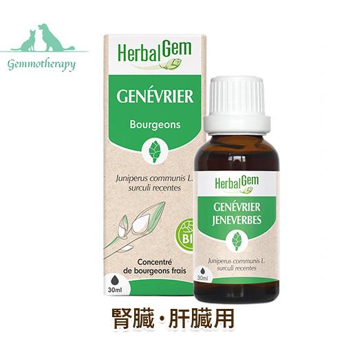 犬用 サプリメント HerbalGem ジェモセラピー コモンジュニパー 【腎臓・肝臓用】 [30ml] 天然成分100% 無添加 ハーバルジェム dog visions : VISIONS ...