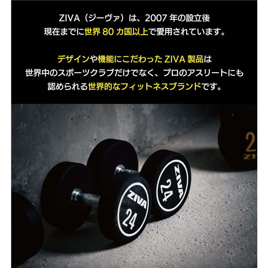 ダンベル ダンベルラック セット 1-10kg 10ペア 20個 ウレタン材質 ダンベルホルダー 収納 ラック スタンド ZIVA ジーヴァ DBVS-7005-ZVO-DBPU-SET ...