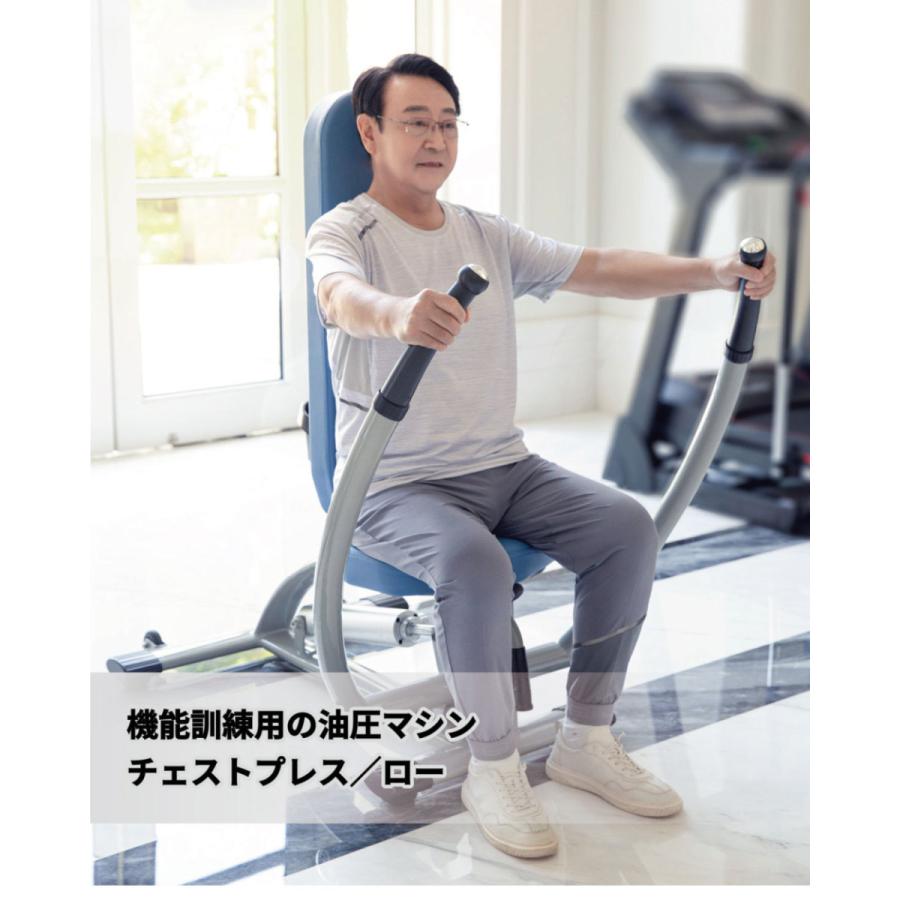 DAIKOU（ダイコー） チェストプレス 油圧マシン DK-672 機能訓練 リハビリ 準業務用 ロー 油圧式トレーニングマシン 1年保証 大広 : アイフィットネスショップ - 通販 ...