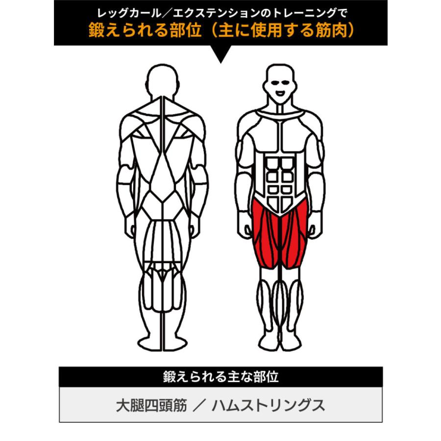 DAIKOU（ダイコー） レッグカール 油圧マシン DK-677 機能訓練 リハビリ レッグエクステンション 準業務用 油圧式トレーニングマシン 大広 : アイフィットネスショップ - 通販 ...