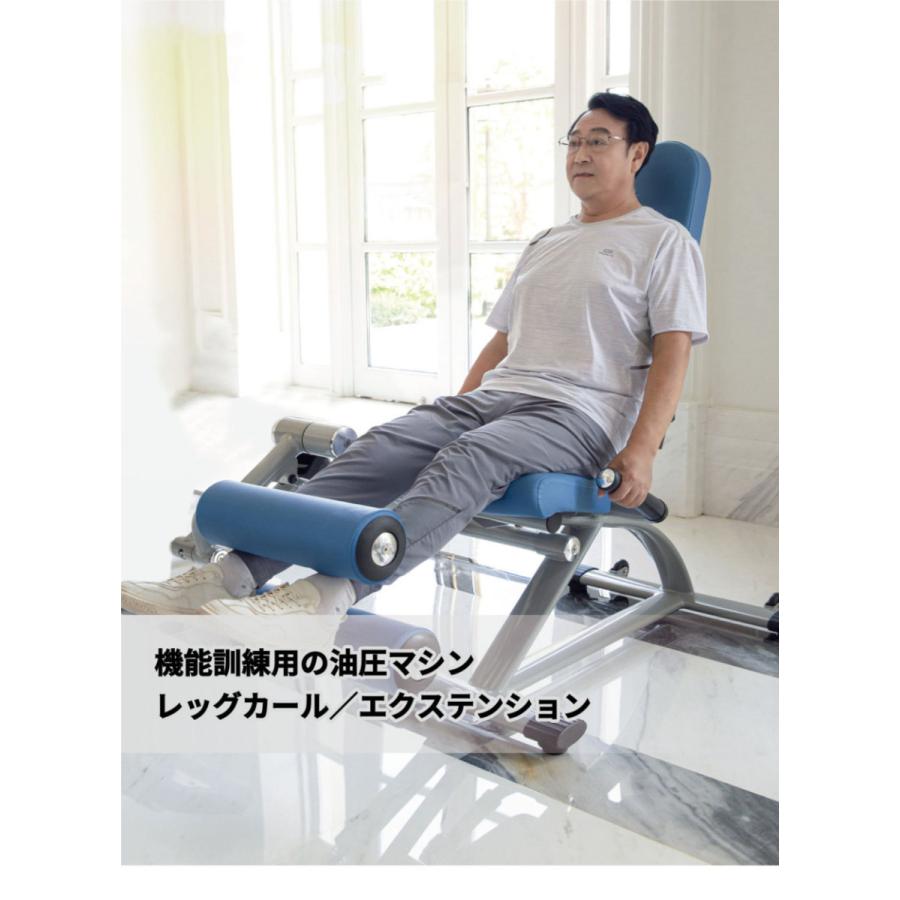 DAIKOU 油圧マシン レッグカール 油圧式 機能訓練 リハビリ レッグエクステンション DK-677 準業務用 大広 ダイコー : アイフィットネスショップ - 通販 - Yahoo!ショッピング