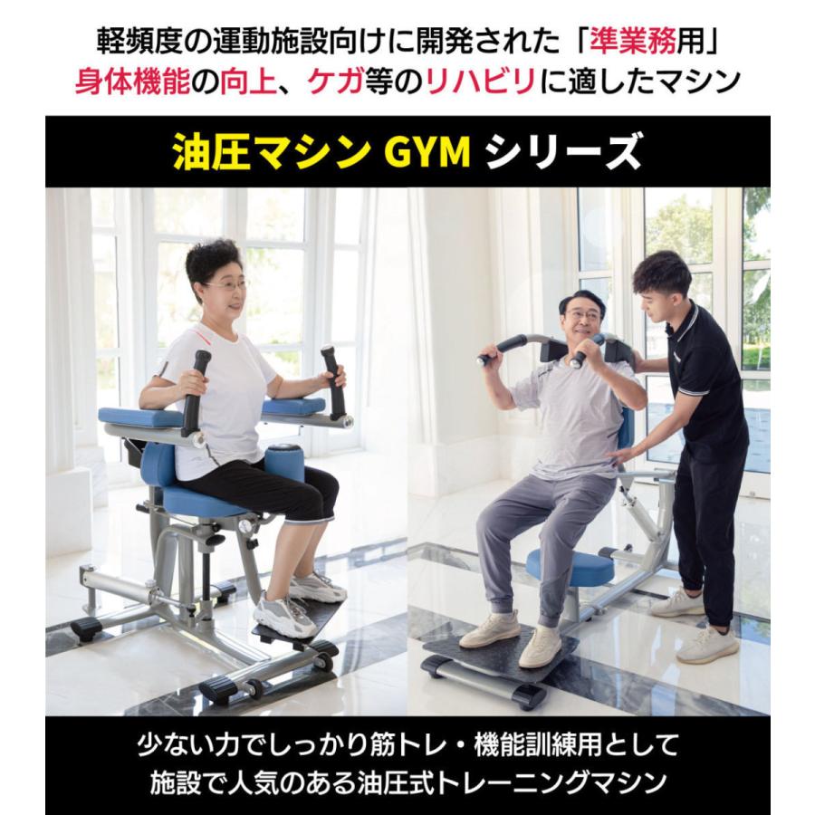 DAIKOU 油圧マシン ホースライディング 油圧式 機能訓練 リハビリ DK-679 筋トレ トレーニングマシン 準業務用 大広 ダイコー : アイフィットネスショップ - 通販 ...