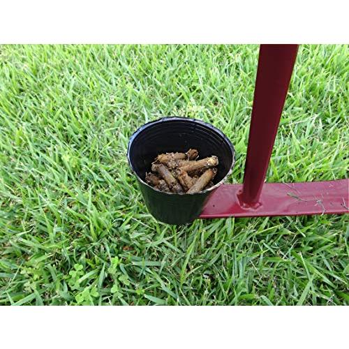 キンボシ(Kinboshi) ゴールデンスター 芝生エアレーション ローンパンチX 4005 :yh-9a6c9db6d6:IFTストア - 通販 - Yahoo!ショッピング