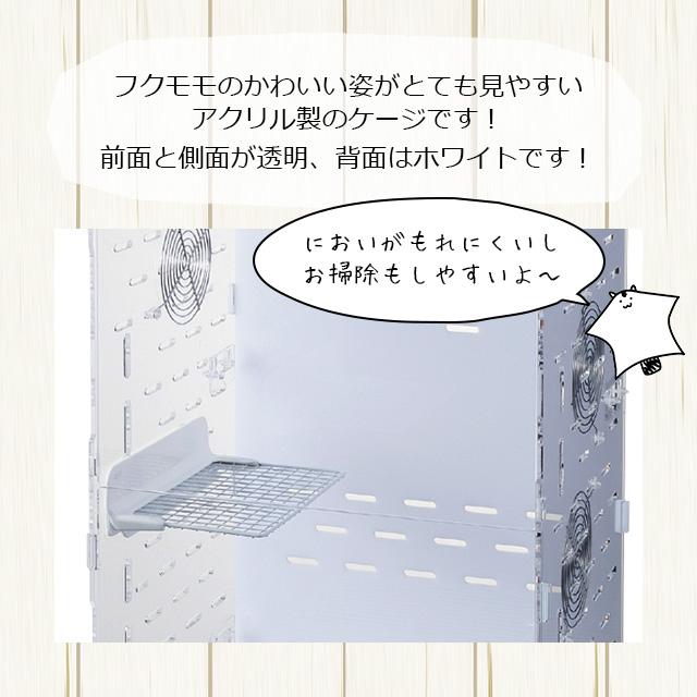 「新型」GEX アクリルルームIII 390High ジェックス アクリルルーム3 フクロモモンガ用大型ケージ 上下運動が得意なフクロモモンガに最適！「大型商品」 : ももんがもんもん共和国 ...