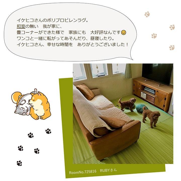 ラグ ペット対応 洗える 3畳 本間 約191×286cm ラグマット カーペット 防ダニ PP ポリプロピレン ビニール バルカン 上敷 ござ 畳の上に敷くもの :24901020103 ...