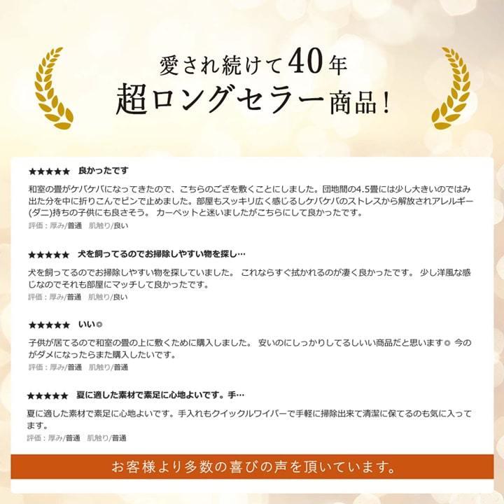 ラグ ペット対応 洗える 3畳 本間 約191×286cm ラグマット カーペット 防ダニ PP ポリプロピレン ビニール バルカン 上敷 ござ 畳の上に敷くもの :24901020103 ...