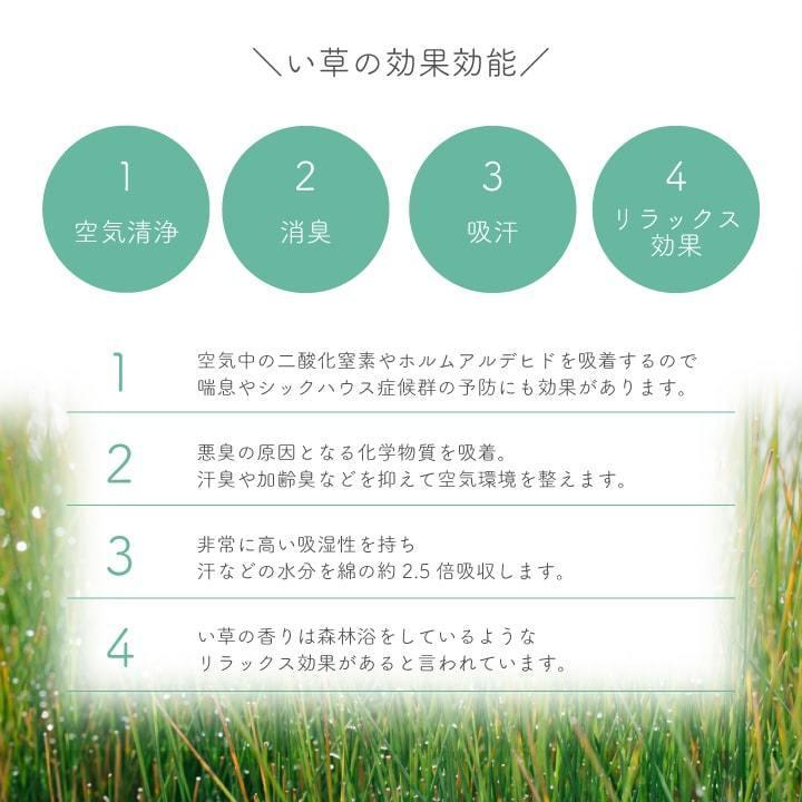 P5倍 畳替え おしゃれ 新調 6畳 本間 樹脂畳 い草 ハイブリッド 97cm×194cm 国産 ござ ペット 子供 耐久性 貼替 交換 PP 和室 たたみ おすすめ : い草王国こたつ王国 ...
