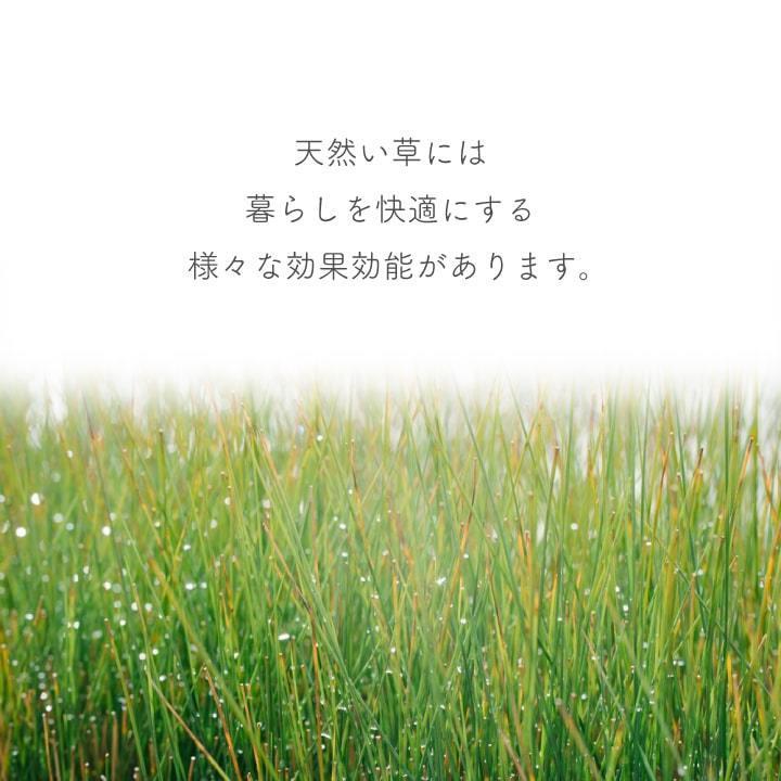 P10倍 畳 表替え おしゃれ 畳替え 1畳 本間 樹脂畳 い草 ハイブリッド 97cm×194cm 国産 ペット 子供 耐久性 貼替 ござ 交換 PP 和室 たたみ おすすめ : い草王国 ...