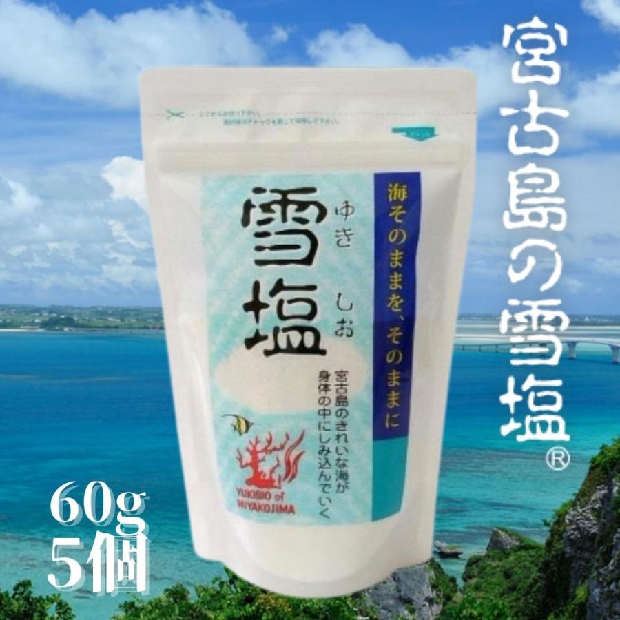 宮古島の雪塩 パラダイスプラン 雪塩 60g 5個 宮古島の雪塩 パウダー にがり含有 ジッパー付き : IIDAYS - 通販 - Yahoo!ショッピング