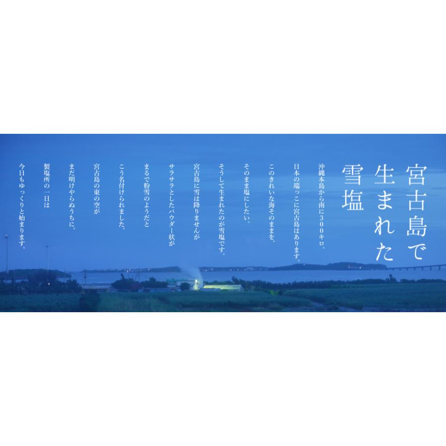 宮古島の雪塩 パラダイスプラン 雪塩クッキングボトル 50g 6個 宮古島の雪塩 パウダー にがり含有 卓上タイプ : IIDAYS - 通販 - Yahoo!ショッピング