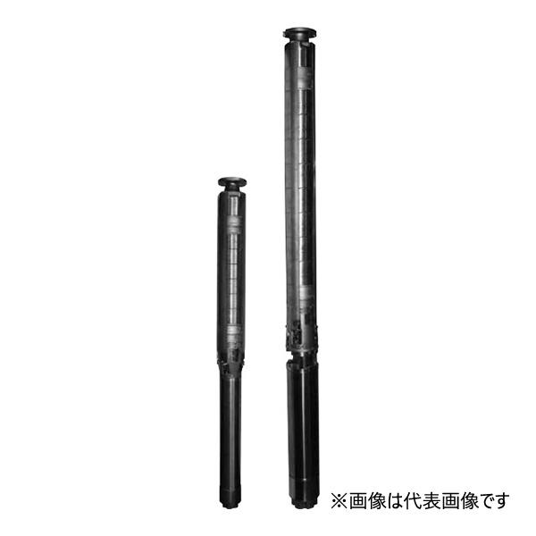 テラル ポンプ【65B-MSUS6-55.5-8】50Hz 深井戸水中ポンプ 井戸径150mm(6インチ) ステンレス鋼板製 三相200V 5.5kW MSUS型〔HE〕 : あいあいショップ ...