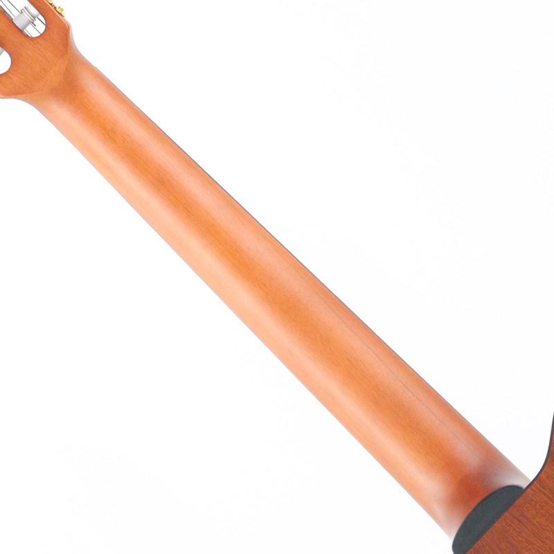 Ibanez FRH10N-BSF (Brown Sunburst Flat) : 751767 : イケベ楽器リボレ秋葉原店 - 通販 ...