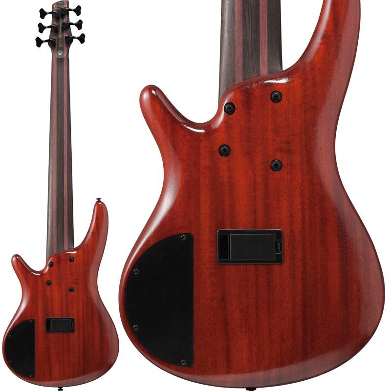 Ibanez Premium SR1426B-CGL [SPOT MODEL] 【値上げ前旧価格品】 : イケベ楽器店 - 通販 - Yahoo!ショッピング