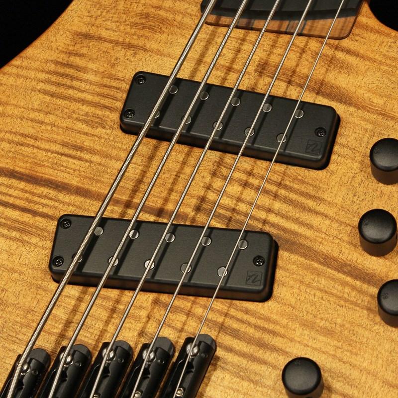 Strandberg Boden Bass Prog 5 Brown : 795106 : イケベ楽器店 - 通販 - Yahoo!ショッピング