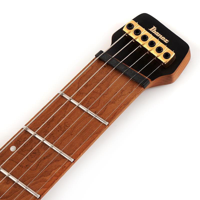 Ibanez MGFM10-OBL (Obsidian Black Low Gloss) [Manuel Gardner Fernandes Model] : イケベ楽器店 - 通販 ...