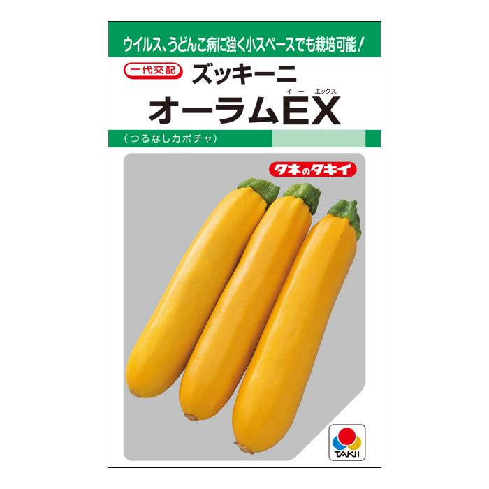 タキイ種苗 ズッキーニ 種 オーラムEX 100粒 : イケダグリーンセンターヤフー店 - 通販 - Yahoo!ショッピング