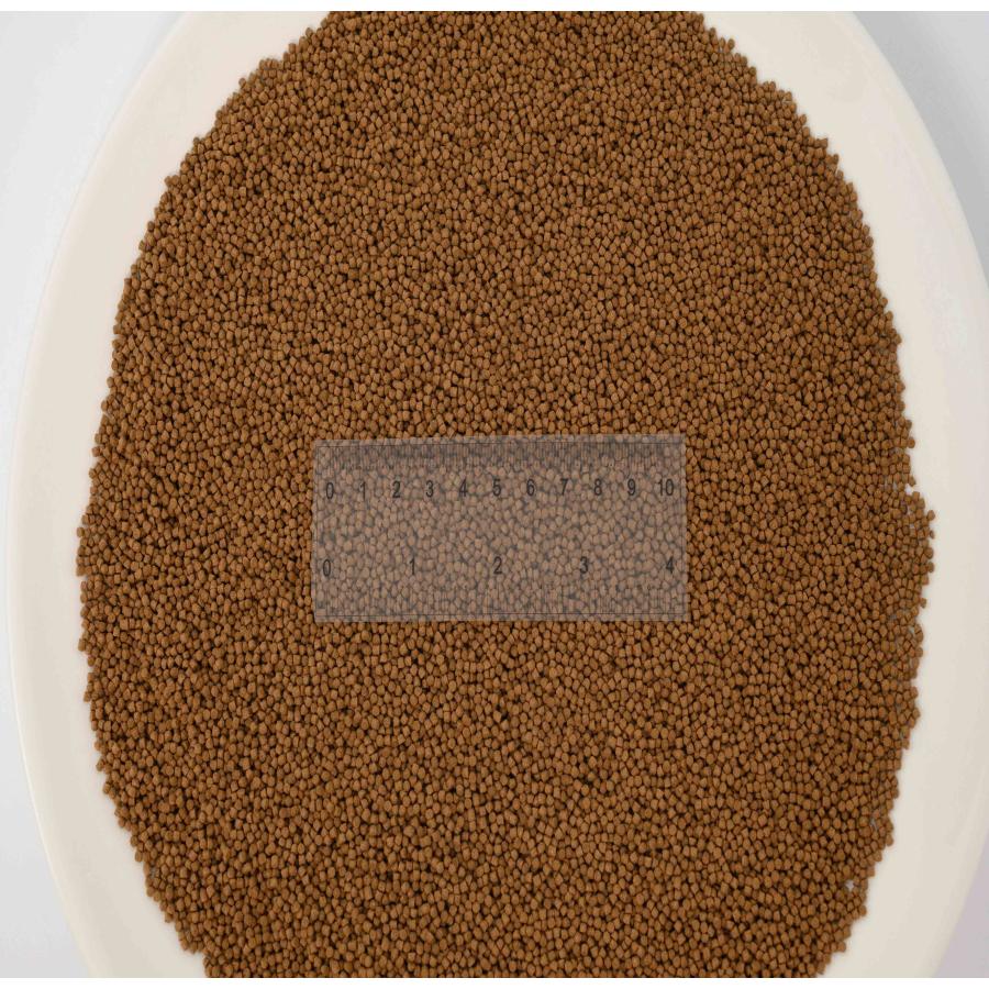 日清丸紅飼料 魚の餌 おとひめEP1(約1.3から約1.7mm) 500g 沈降性(沈下性) 金魚 アロワナ 肉食魚に :10002306:一貫堂 大阪府茨木市 - 通販 - Yahoo!ショッピング