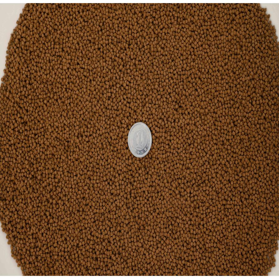 日清丸紅飼料 魚の餌 おとひめEP1(約1.3から約1.7mm) 500g 沈降性(沈下性) 金魚 アロワナ 肉食魚に :10002306:一貫堂 大阪府茨木市 - 通販 - Yahoo!ショッピング