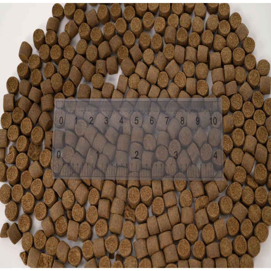 日清丸紅飼料 おとひめEP8(約6.8mm〜約8.0mm) 500g 沈降性(沈下性) 金魚 アロワナ 肉食魚に : 一貫堂 大阪府茨木市 - 通販 - Yahoo!ショッピング