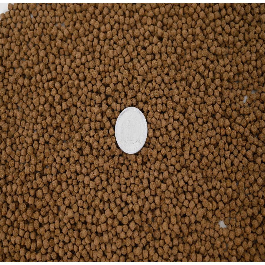 日清丸紅飼料 おとひめEP3(約2.9mm〜約3.3mm) 1kg(500g×2袋) 沈降性(沈下性) 金魚 アロワナ 肉食魚に : 一貫堂 大阪府茨木市 - 通販 - Yahoo!ショッピング