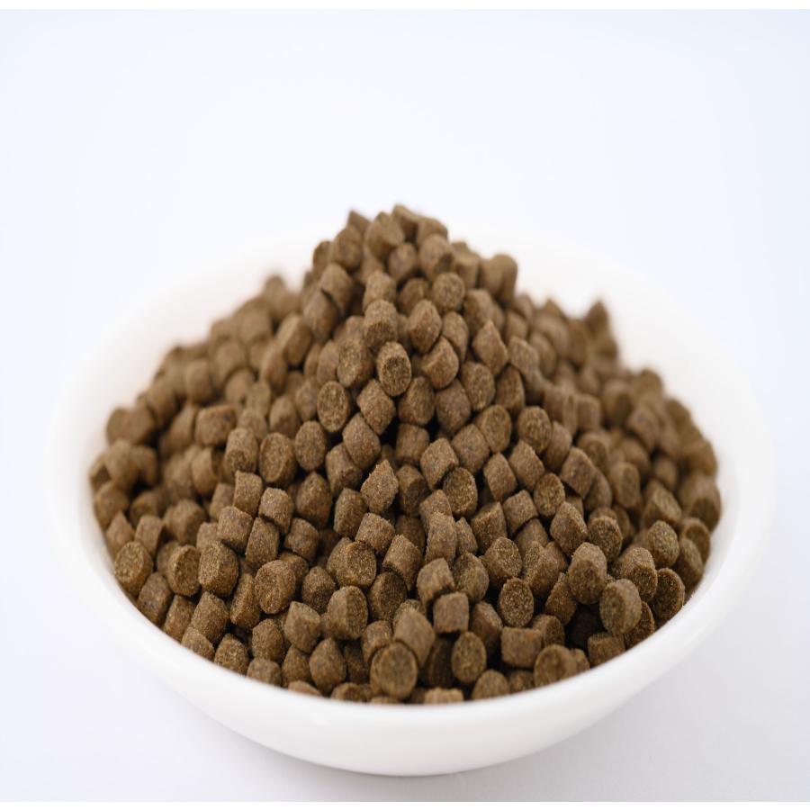 日清丸紅飼料 おとひめEP4(約3.4mm〜約4.0mm) 1kg(500g×2袋) 沈降性(沈下性) 金魚 アロワナ 肉食魚に : 一貫堂 大阪府茨木市 - 通販 - Yahoo!ショッピング