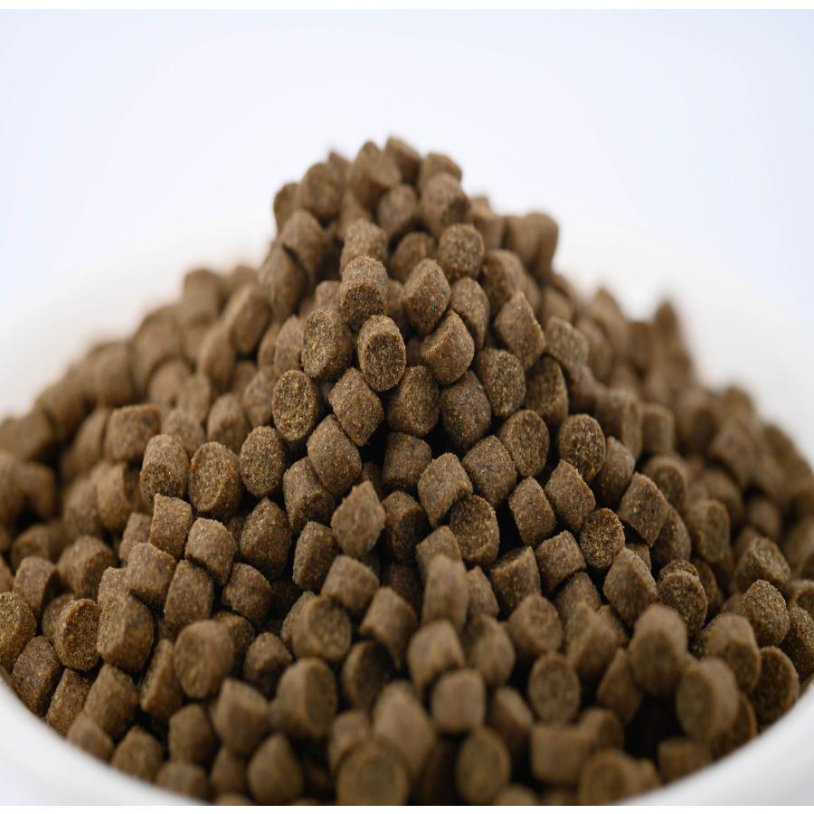 日清丸紅飼料 おとひめEP4(約3.4mm〜約4.0mm) 1kg(500g×2袋) 沈降性(沈下性) 金魚 アロワナ 肉食魚に : 一貫堂 大阪府茨木市 - 通販 - Yahoo!ショッピング