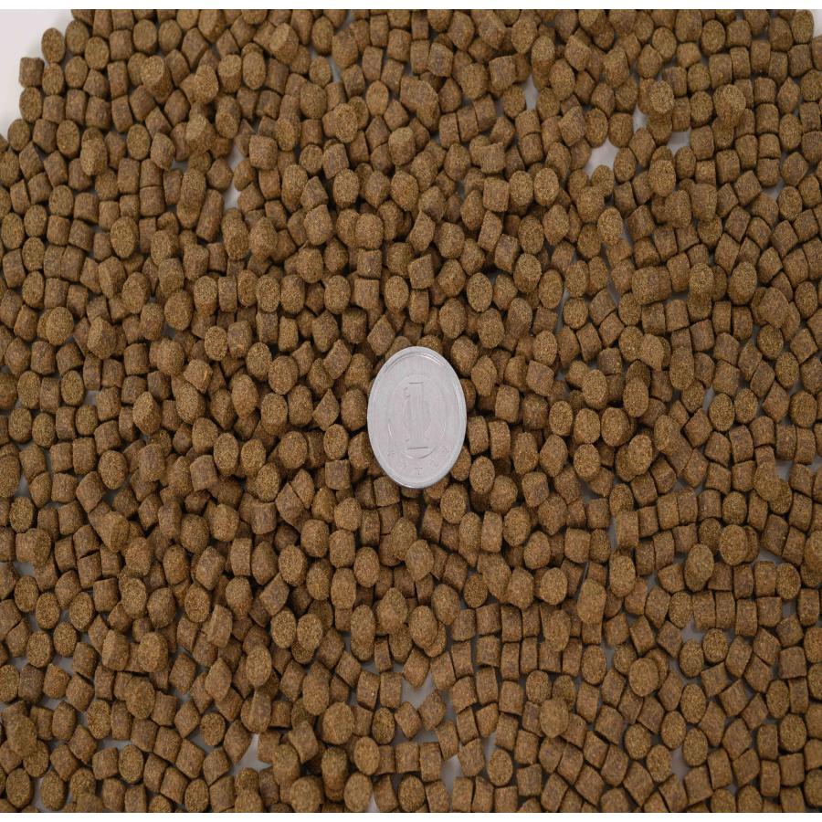 日清丸紅飼料 おとひめEP5(約4.3mm〜約5.1mm) 3kg(500g×6袋) 沈降性(沈下性) 金魚 アロワナ 肉食魚に : 10002344 : 一貫堂 大阪府茨木市 - 通販 ...
