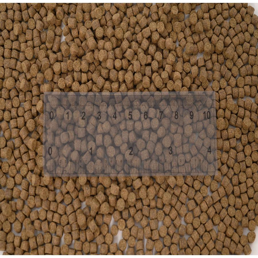 日清丸紅飼料 おとひめEP5(約4.3mm〜約5.1mm) 10kg(500g×20袋) 沈降性(沈下性) 金魚 アロワナ 肉食魚に : 一貫堂 大阪府茨木市 - 通販 - Yahoo!ショッピング