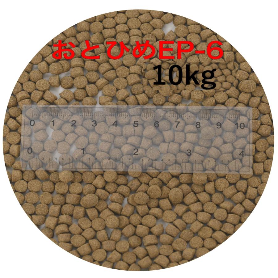 日清丸紅飼料 おとひめEP6(約5.4mm〜約6.4mm) 10kg(500g×20袋) 沈降性(沈下性) 金魚 アロワナ 肉食魚に : 一貫堂 大阪府茨木市 - 通販 - Yahoo!ショッピング